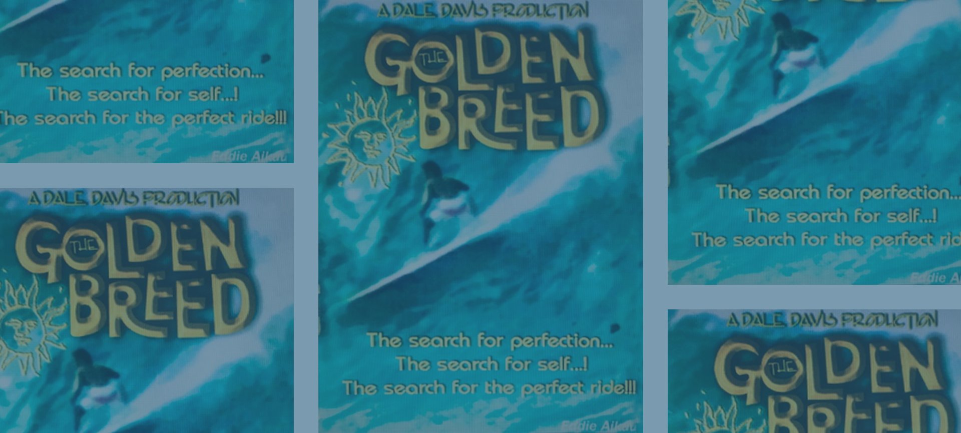About Us | Golden Breed Australia est 1969